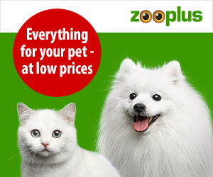 The best special Offers and Deals online | Kimbino