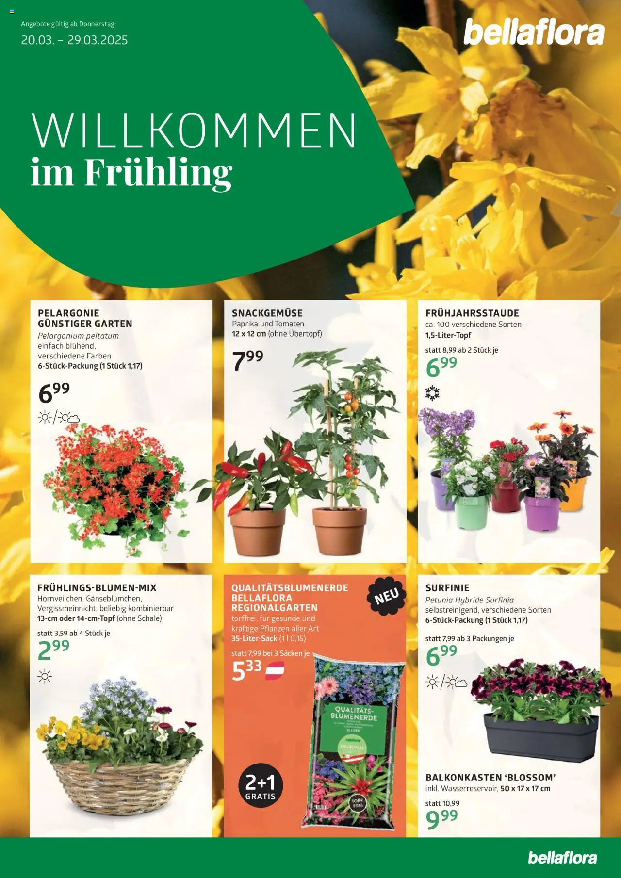bellaflora Flugblatt (20.03.2025) || Aktuelle Angebote